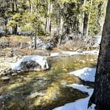 Silver Run Loop Trail, Montana - 546 Reviews, Map | AllTrails