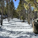 Silver Run Loop Trail, Montana - 415 Reviews, Map | AllTrails