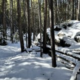 Silver Run Loop Trail, Montana - 415 Reviews, Map | AllTrails