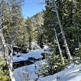 Silver Run Loop Trail, Montana - 567 Reviews, Map | AllTrails