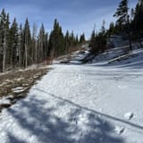 Heart Creek Trail, Alberta, Canada - 3,406 Reviews, Map | AllTrails