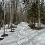 Killington Peak via Bucklin Trail, Vermont - 1,848 Reviews, Map | AllTrails