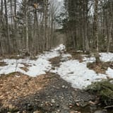 Killington Peak via Bucklin Trail, Vermont - 1,848 Reviews, Map | AllTrails