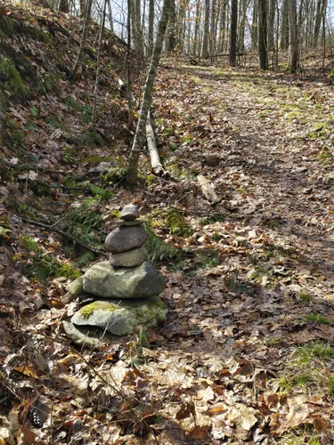 Best Forest Trails in Chenango Valley State Park | AllTrails