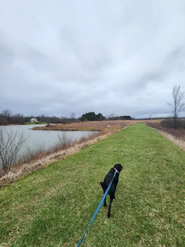 Best Hikes and Trails in Myeerah Nature Preserve | AllTrails