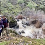 Fairy Falls Trail to Beale/Shingle Falls, California - 1,919 Reviews ...