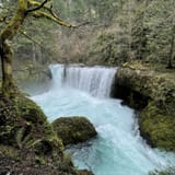 Spirit Falls Trail, Washington - 1,390 Reviews, Map | AllTrails