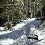 Silver Run Loop Trail, Montana - 415 Reviews, Map | AllTrails