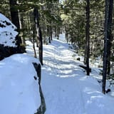 Silver Run Loop Trail, Montana - 415 Reviews, Map | AllTrails