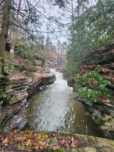 Best Hikes and Trails in Scranton | AllTrails