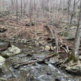 Cedar Run Falls Trail, Virginia - 440 Reviews, Map | AllTrails