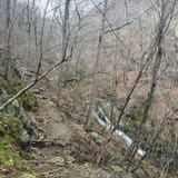 Cedar Run Falls Trail, Virginia - 440 Reviews, Map | AllTrails