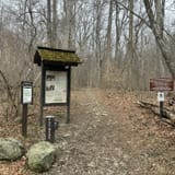 Cedar Run Falls Trail, Virginia - 440 Reviews, Map | AllTrails