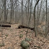 Cedar Run Falls Trail, Virginia - 440 Reviews, Map | AllTrails