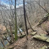 Cedar Run Falls Trail, Virginia - 440 Reviews, Map | AllTrails