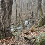 Cedar Run Falls Trail, Virginia - 440 Reviews, Map | AllTrails