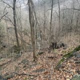 Cedar Run Falls Trail, Virginia - 440 Reviews, Map | AllTrails
