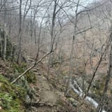 Cedar Run Falls Trail, Virginia - 440 Reviews, Map | AllTrails