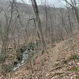 Cedar Run Falls Trail, Virginia - 440 Reviews, Map | AllTrails