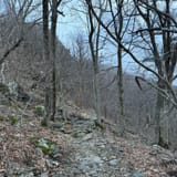 Cedar Run Falls Trail, Virginia - 720 Reviews, Map | AllTrails