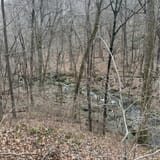 Cedar Run Falls Trail, Virginia - 440 Reviews, Map | AllTrails