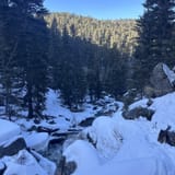 Catamount Falls via Thomas Trail, Colorado - 1,610 Reviews, Map | AllTrails