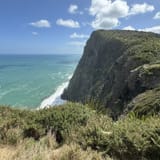 Mercer Bay Loop Track, Auckland, New Zealand - 634 Reviews, Map | AllTrails