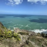Mercer Bay Loop Track, Auckland, New Zealand - 634 Reviews, Map | AllTrails