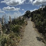 Mercer Bay Loop Track, Auckland, New Zealand - 634 Reviews, Map | AllTrails