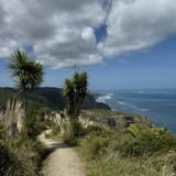 Mercer Bay Loop Track, Auckland, New Zealand - 634 Reviews, Map | AllTrails