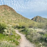 Second Water and Hackberry Spring Loop, Arizona - 2,021 Reviews, Map ...