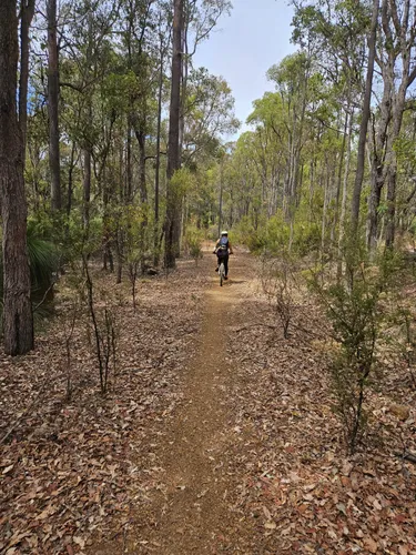Best Hikes and Trails in Nannup | AllTrails