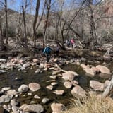Parsons Trail, Arizona - 745 Reviews, Map | AllTrails