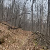 Balsam Lake Mountain via Dry Brook Ridge Trail, New York - 1,031 ...