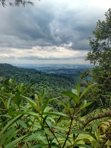 10 Best River Trails in Gunung Pulai Recreational Forest | AllTrails