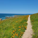 Point Buchon Trail, California - 608 Reviews, Map | AllTrails