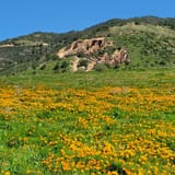 Point Buchon Trail, California - 608 Reviews, Map | AllTrails
