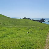 Point Buchon Trail, California - 608 Reviews, Map | AllTrails