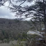 Fiery Gizzard Trail to Raven's Point, Tennessee - 1,141 Reviews, Map ...