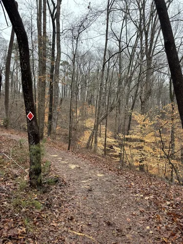 Best Hikes and Trails in Tugaloo State Park | AllTrails