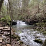 Fiery Gizzard Trail to Raven's Point, Tennessee - 1,165 Reviews, Map ...