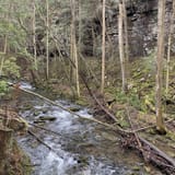 Fiery Gizzard Trail to Raven's Point, Tennessee - 1,165 Reviews, Map ...