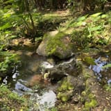 Makiki Valley Loop, Oahu, Hawaii - 5,605 Reviews, Map | AllTrails