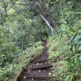 Makiki Valley Loop, Oahu, Hawaii - 5,605 Reviews, Map | AllTrails