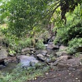 Makiki Valley Loop, Oahu, Hawaii - 5,605 Reviews, Map | AllTrails