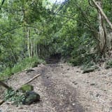 Makiki Valley Loop, Oahu, Hawaii - 5,605 Reviews, Map | AllTrails