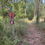Richloam Wildlife Management Area, Florida - 61 Reviews, Map | AllTrails