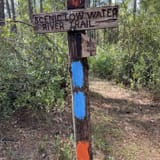 Richloam Wildlife Management Area, Florida - 61 Reviews, Map | AllTrails
