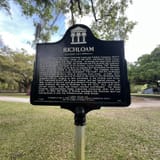 Richloam Wildlife Management Area, Florida - 61 Reviews, Map | AllTrails