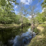 Richloam Wildlife Management Area, Florida - 61 Reviews, Map | AllTrails